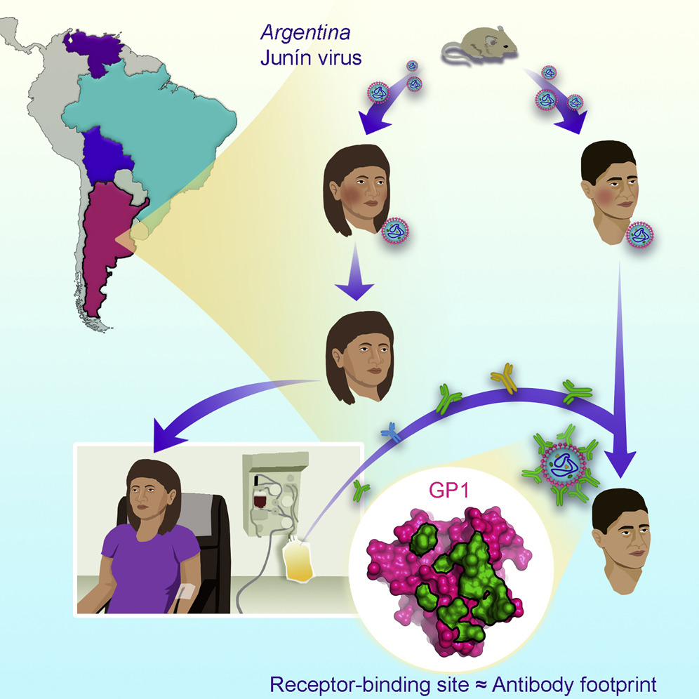 PUBLICATIONS - Jonathan Abraham Lab