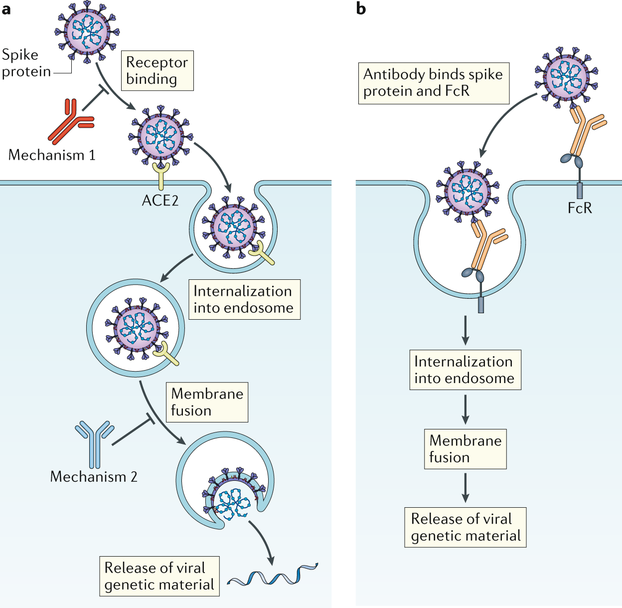 PUBLICATIONS - Jonathan Abraham Lab