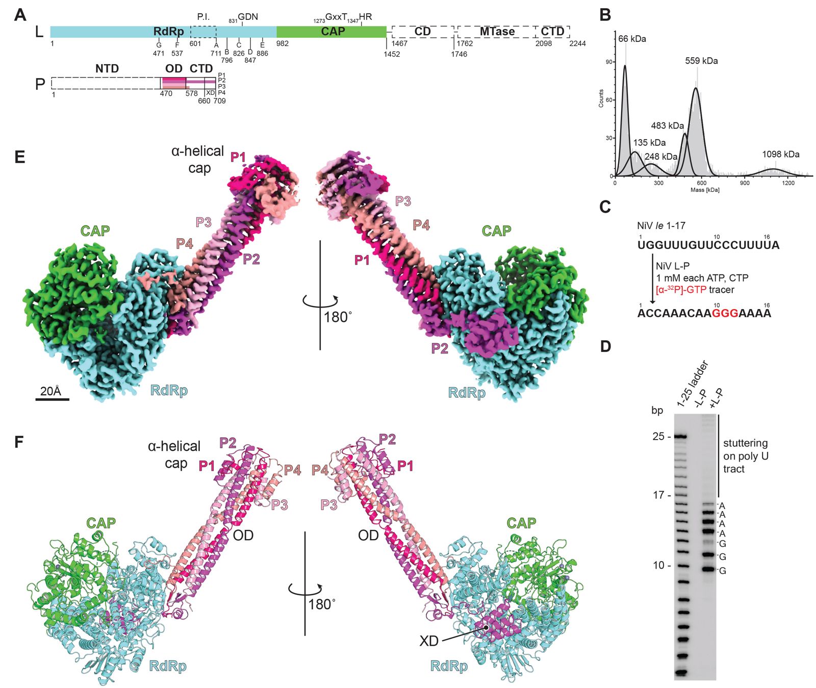 PUBLICATIONS - Jonathan Abraham Lab