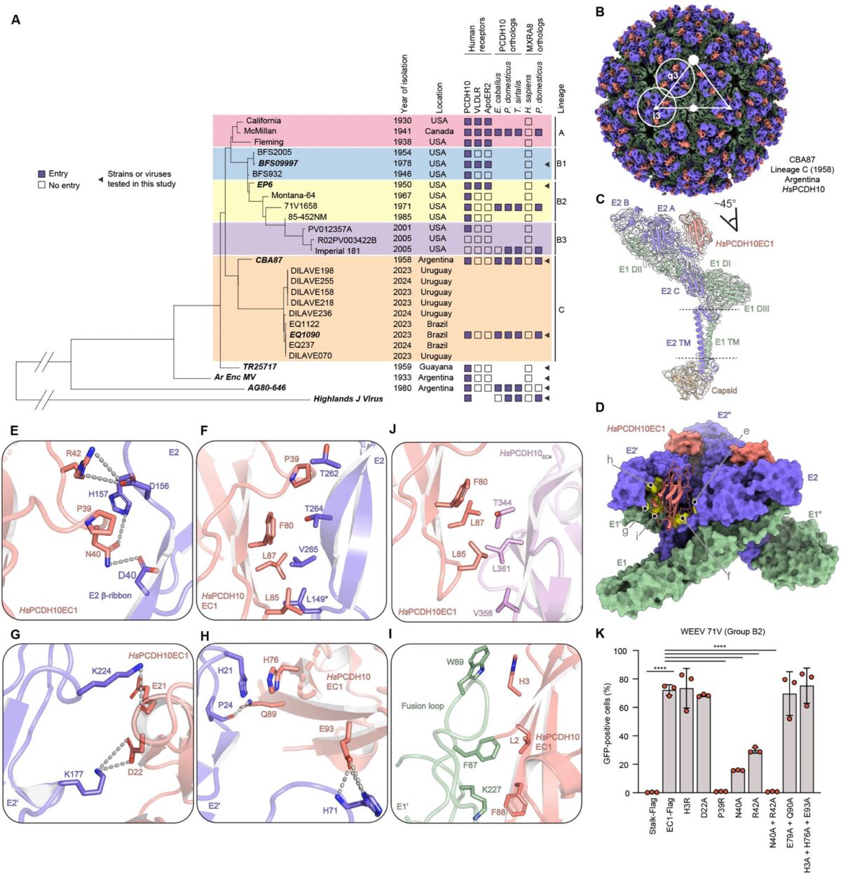 PUBLICATIONS - Jonathan Abraham Lab